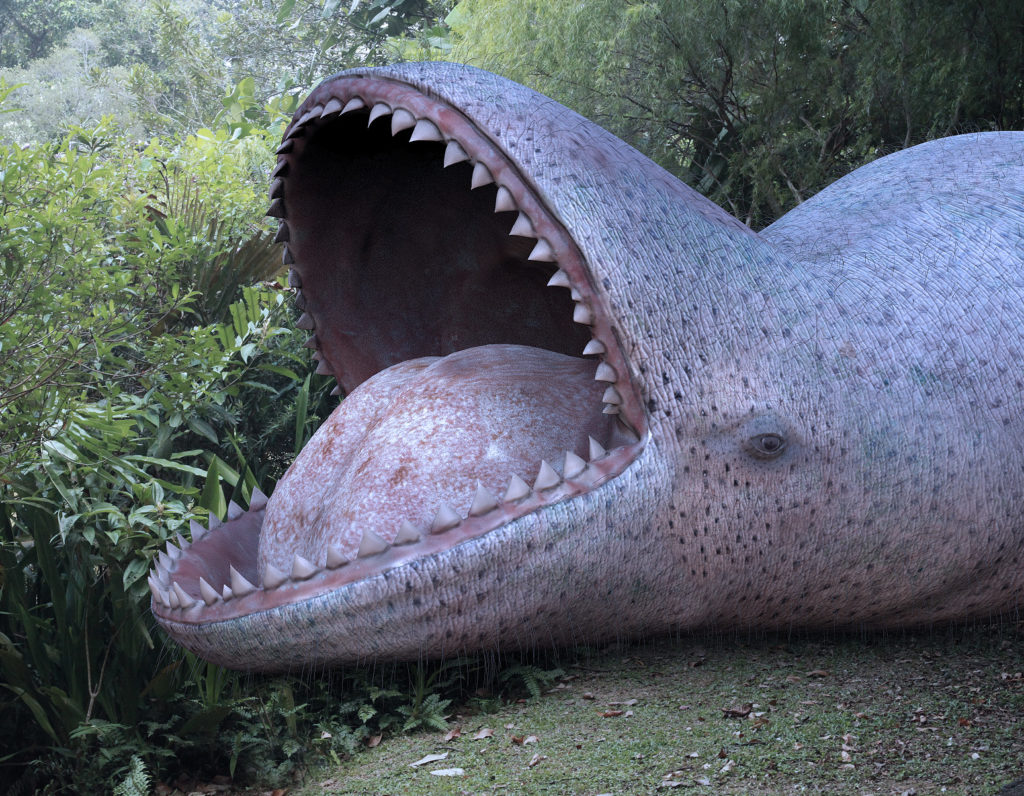 The Future is Wild - STUDIO CGARTIST